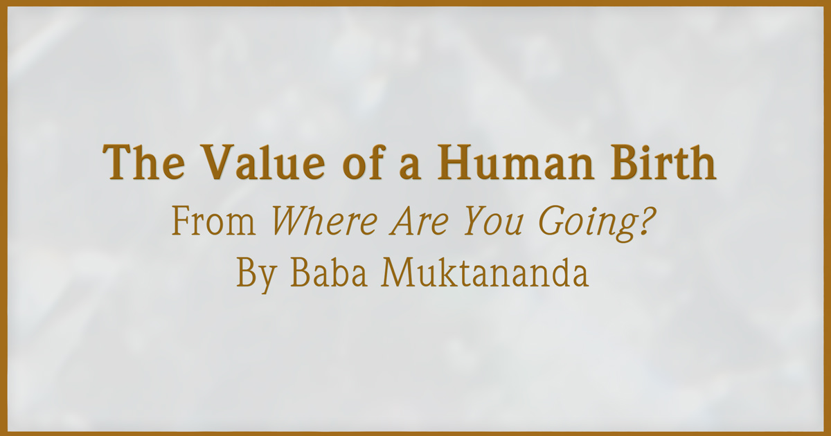 The Value of a Human Birth | Siddha Yoga Path