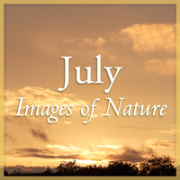 July 2019: Images of Nature