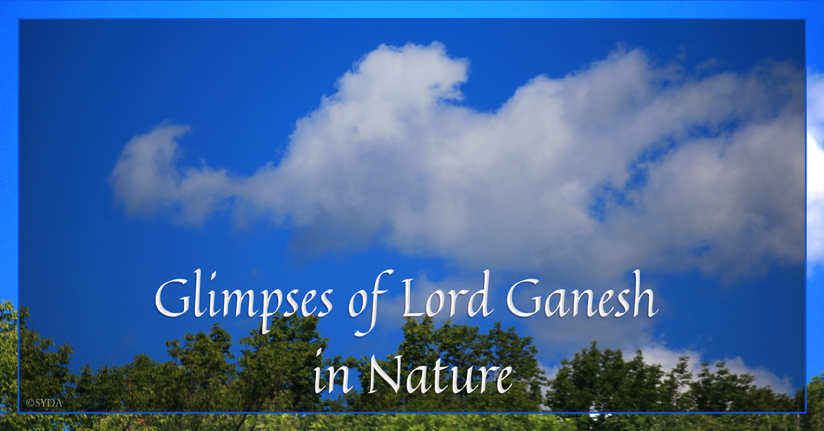 Glimpses of Lord Ganesh in Nature | Siddha Yoga path