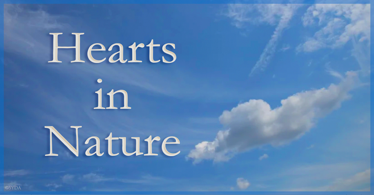 2020: Hearts in Nature