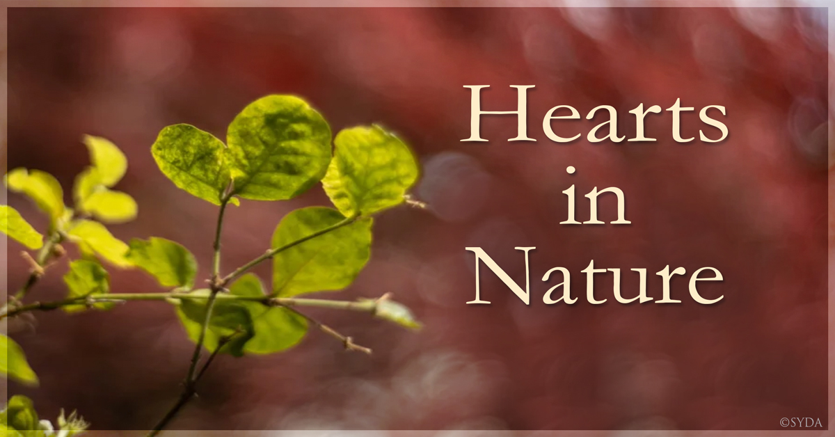 2021: Hearts in Nature II