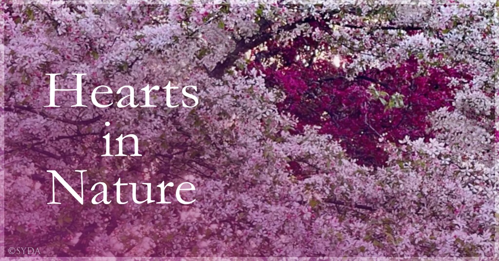 2021: Hearts in Nature III