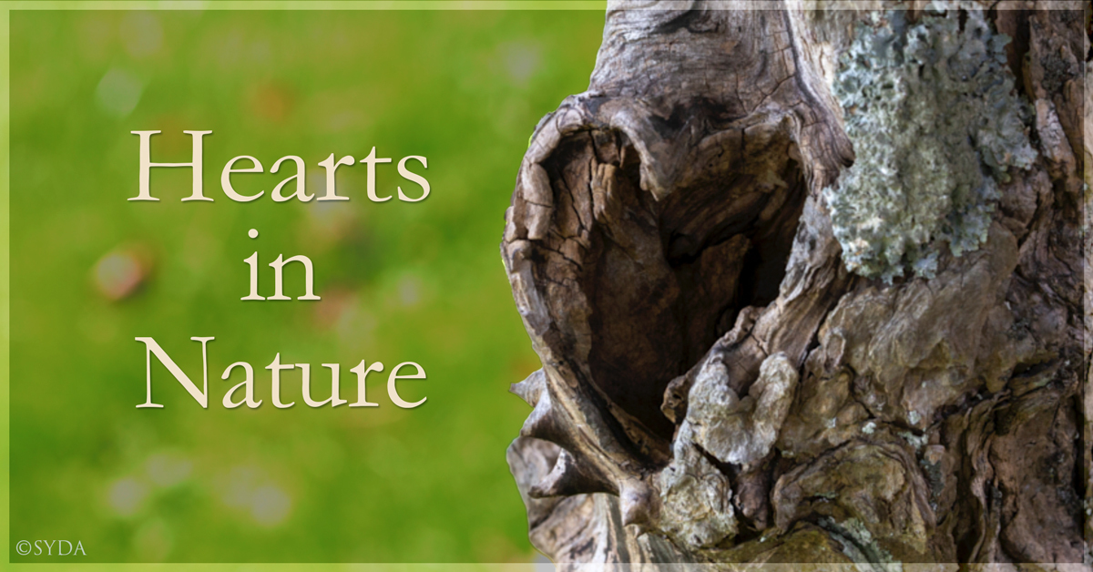 2022: Hearts in Nature IX
