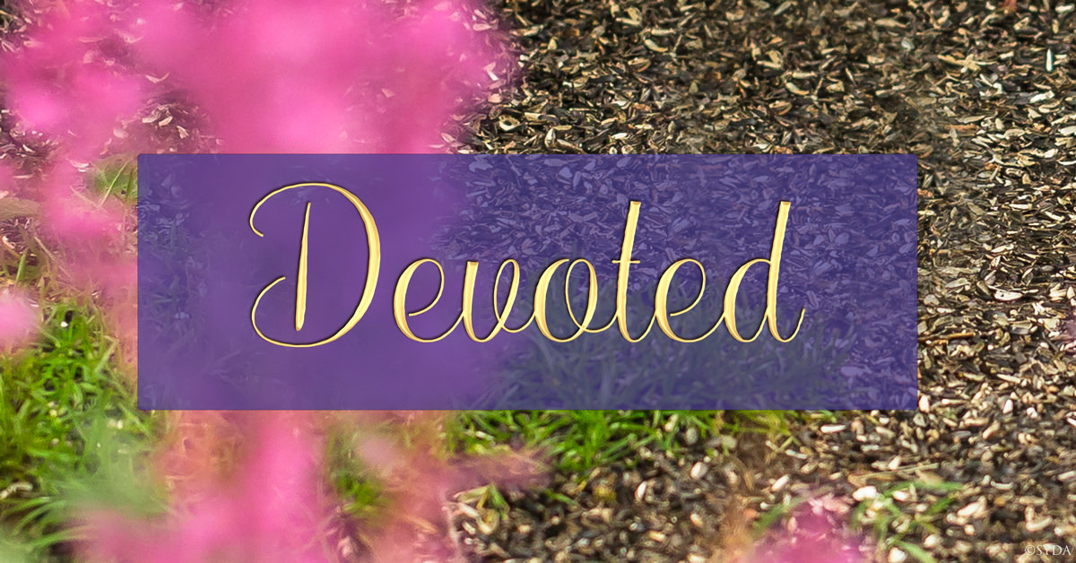 The Devoted Chipmunk