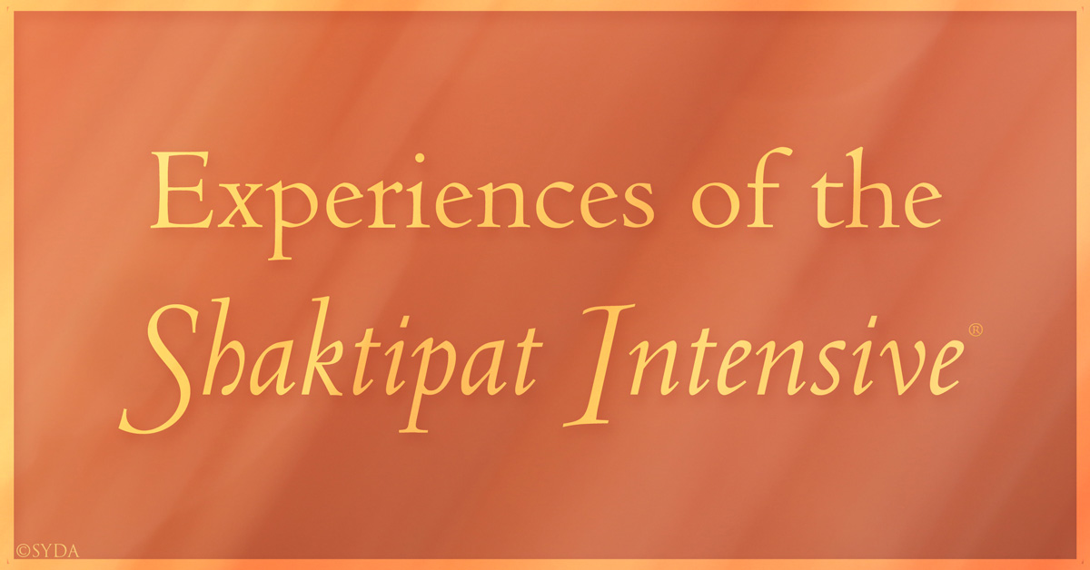Experiences of the Shaktipat Intensive