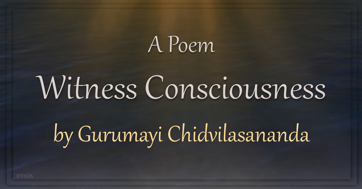 Witness Consciousness | Siddha Yoga Path