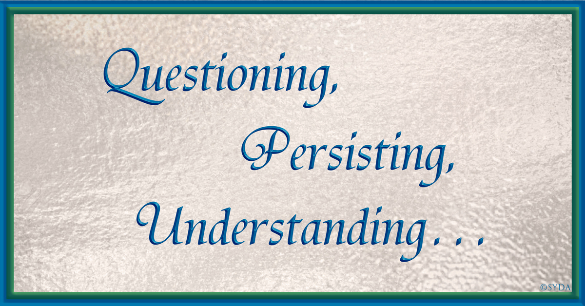 Questioning, Persisting, Understanding…